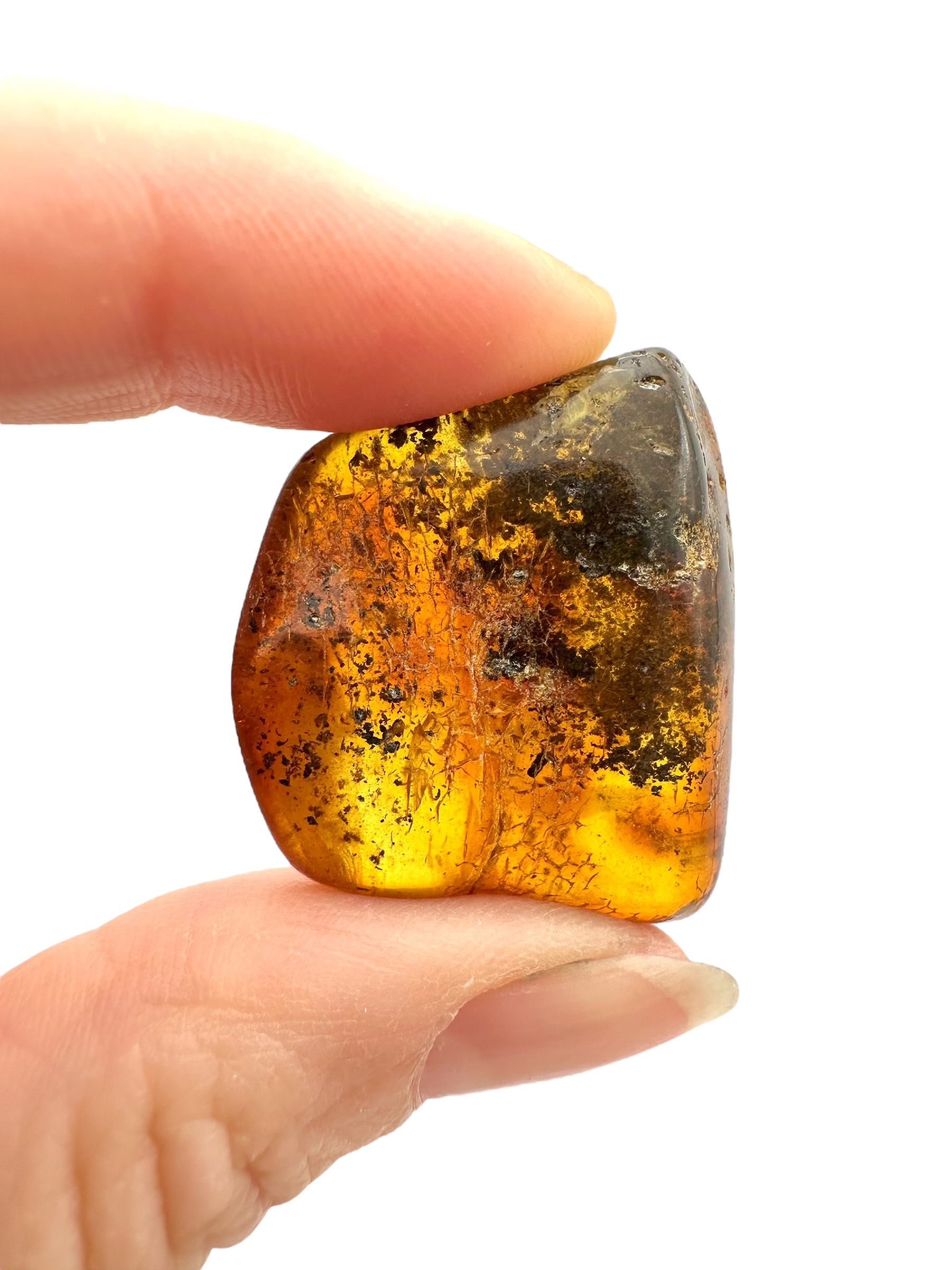 Amber – Rivne, Ukraine - PeltramMinerals