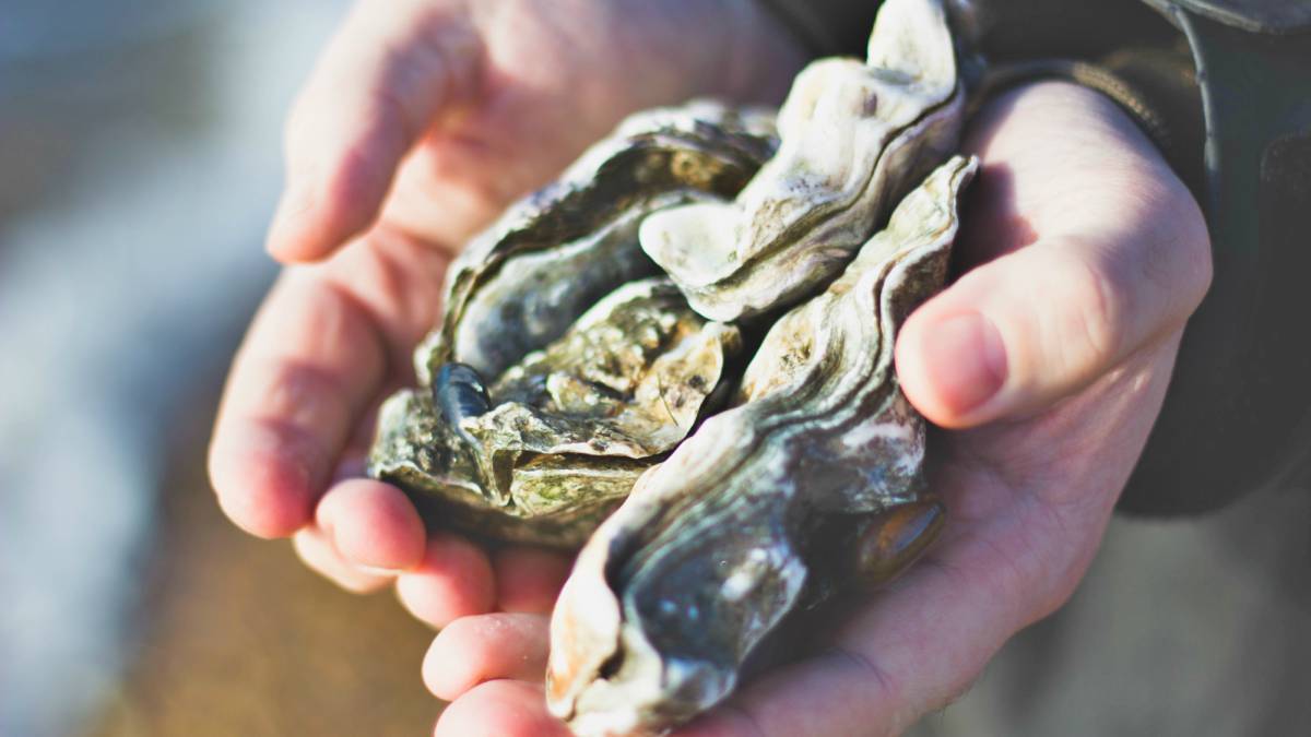 Jak vznikají perly a proč jsou kulaté?