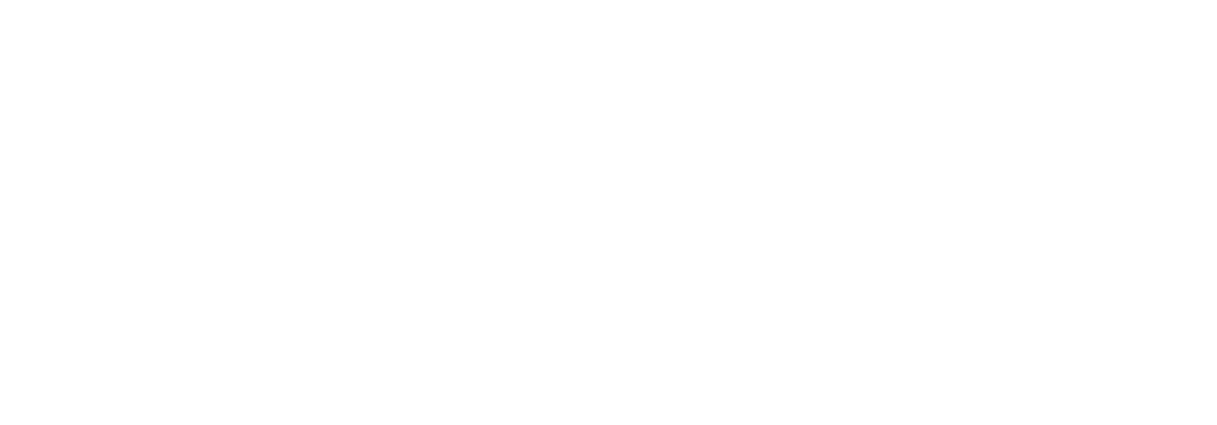 BOOSTER GEL - Platinum Nails Technology