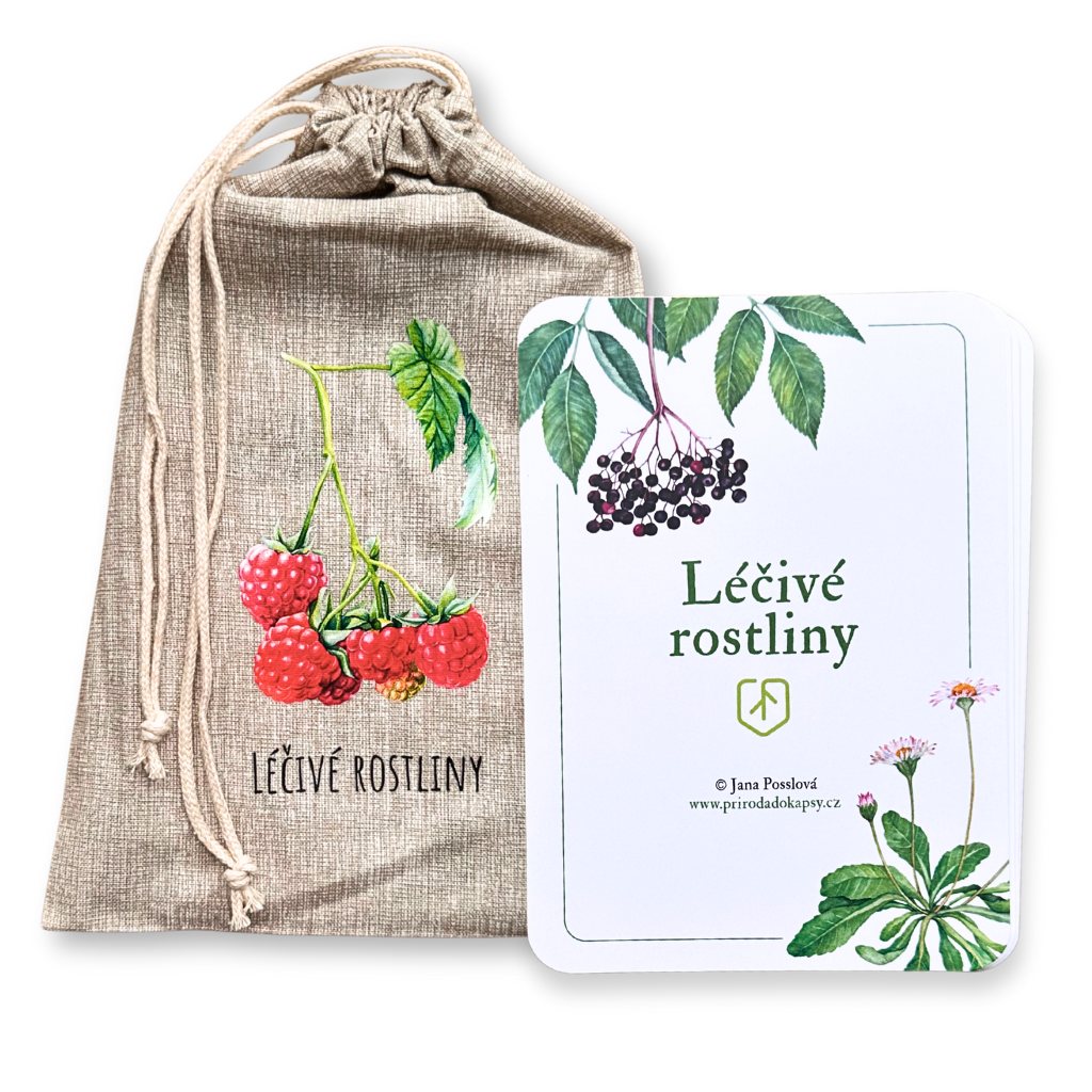 Karty Léčivé rostliny - Příroda do kapsy.cz