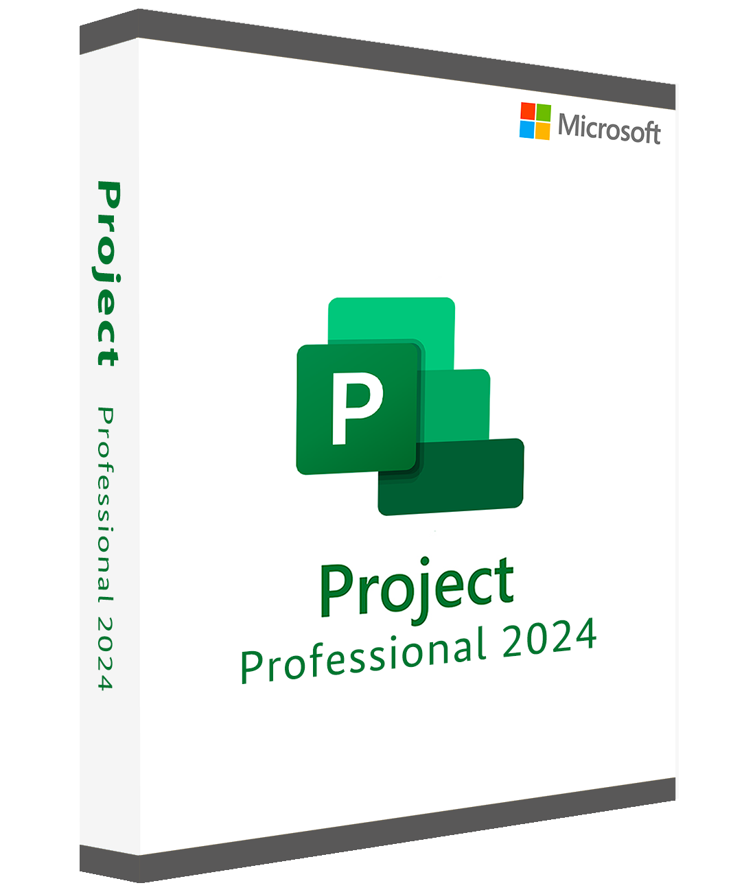 Microsoft Project 2024 Professional - ProLicence.cz