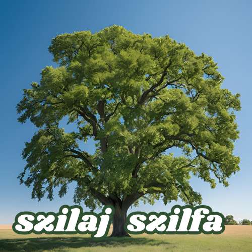 Szilaj növekedésű szilfa ( 4 darabos csomag ) - SÖVÉNYÁRUHÁZ