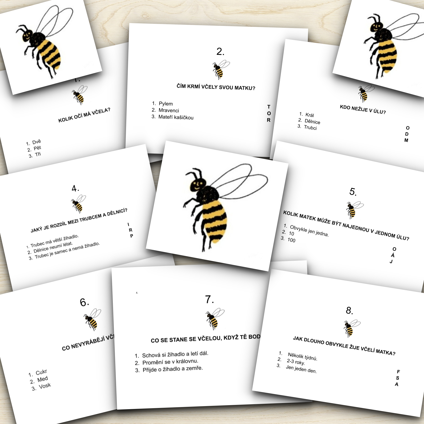 VČELA - kvíz s tajenkou - STEZKY PRO DĚTI