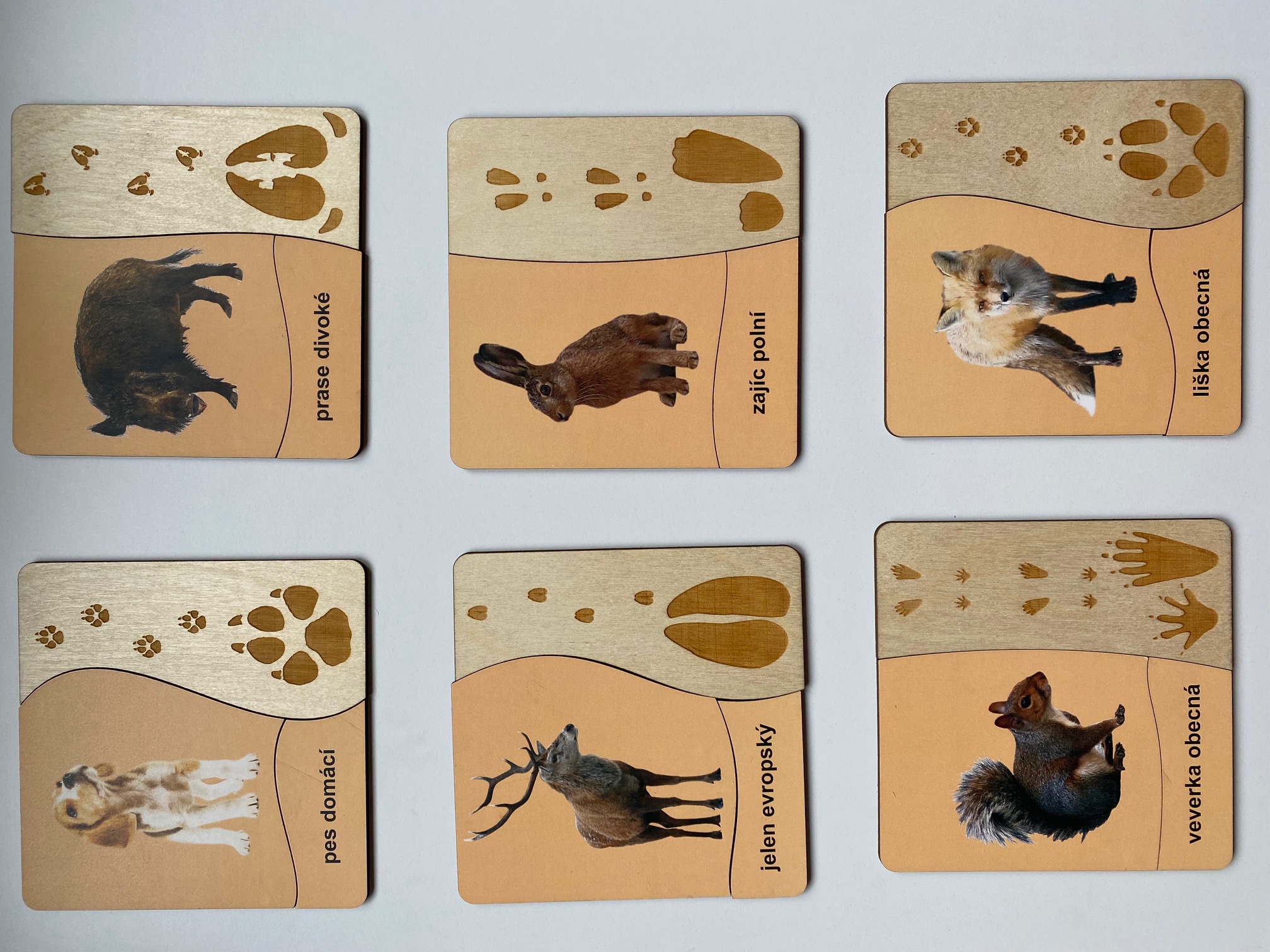 Stopy zvířat - obrázek, stopa, název - Učení je radost