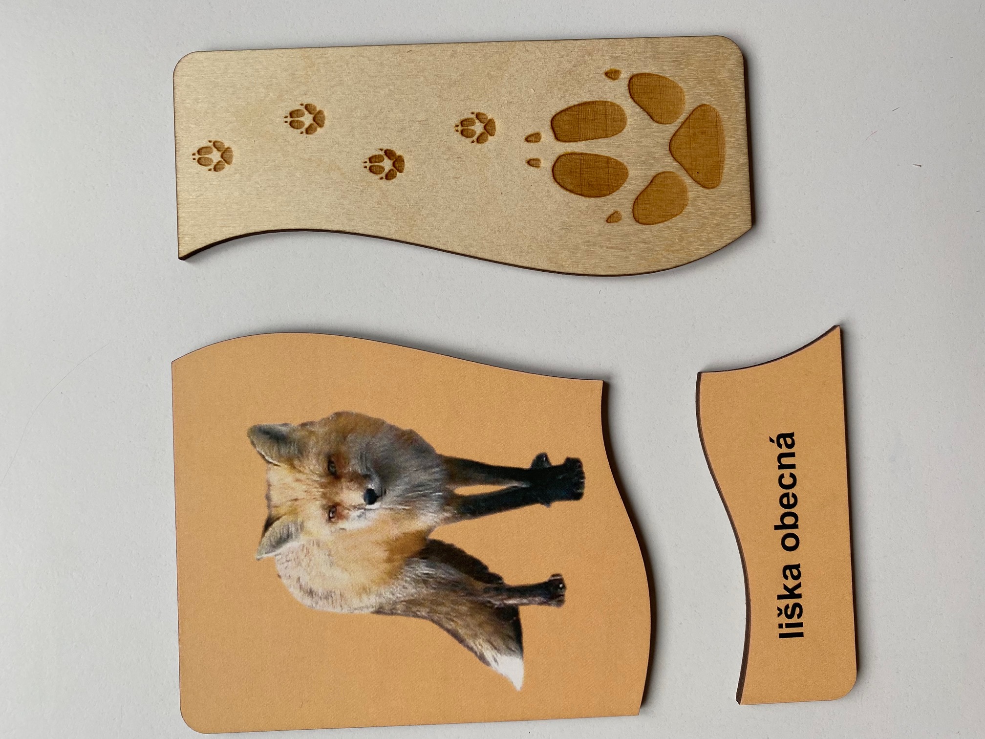 Stopy zvířat - obrázek, stopa, název - Učení je radost