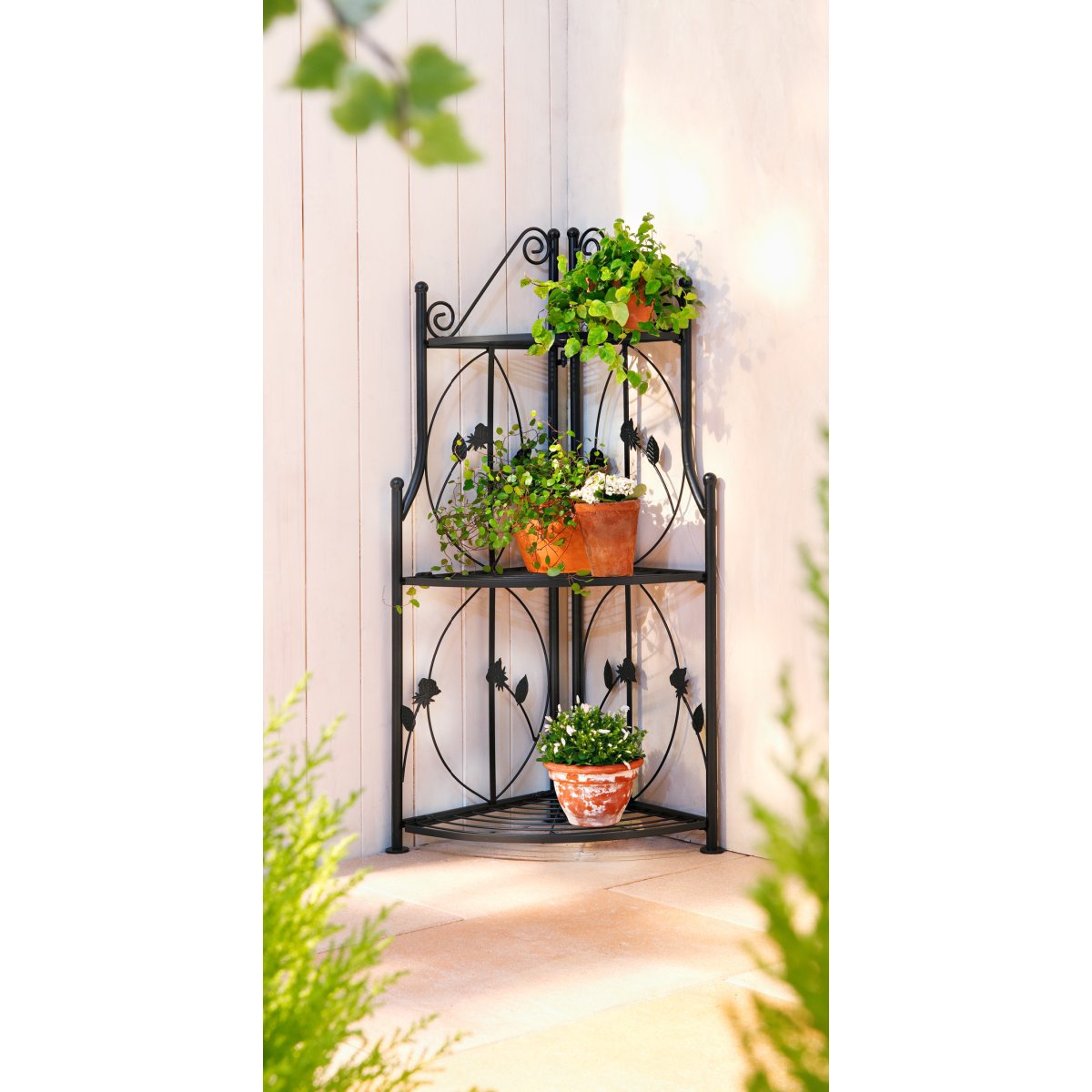 Rohový regál na rostliny - Velký Košík