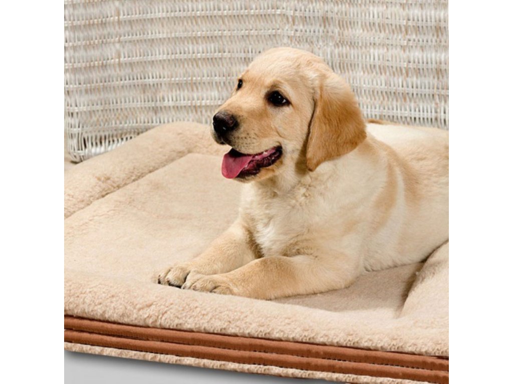 Pro psy - Vlněné věci