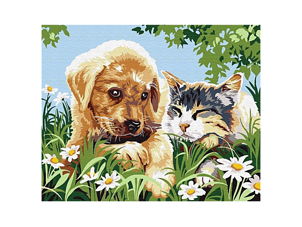 Diamantový obrázek -Kotě a štěně na louce 30x40cm - Výtvarné hračky