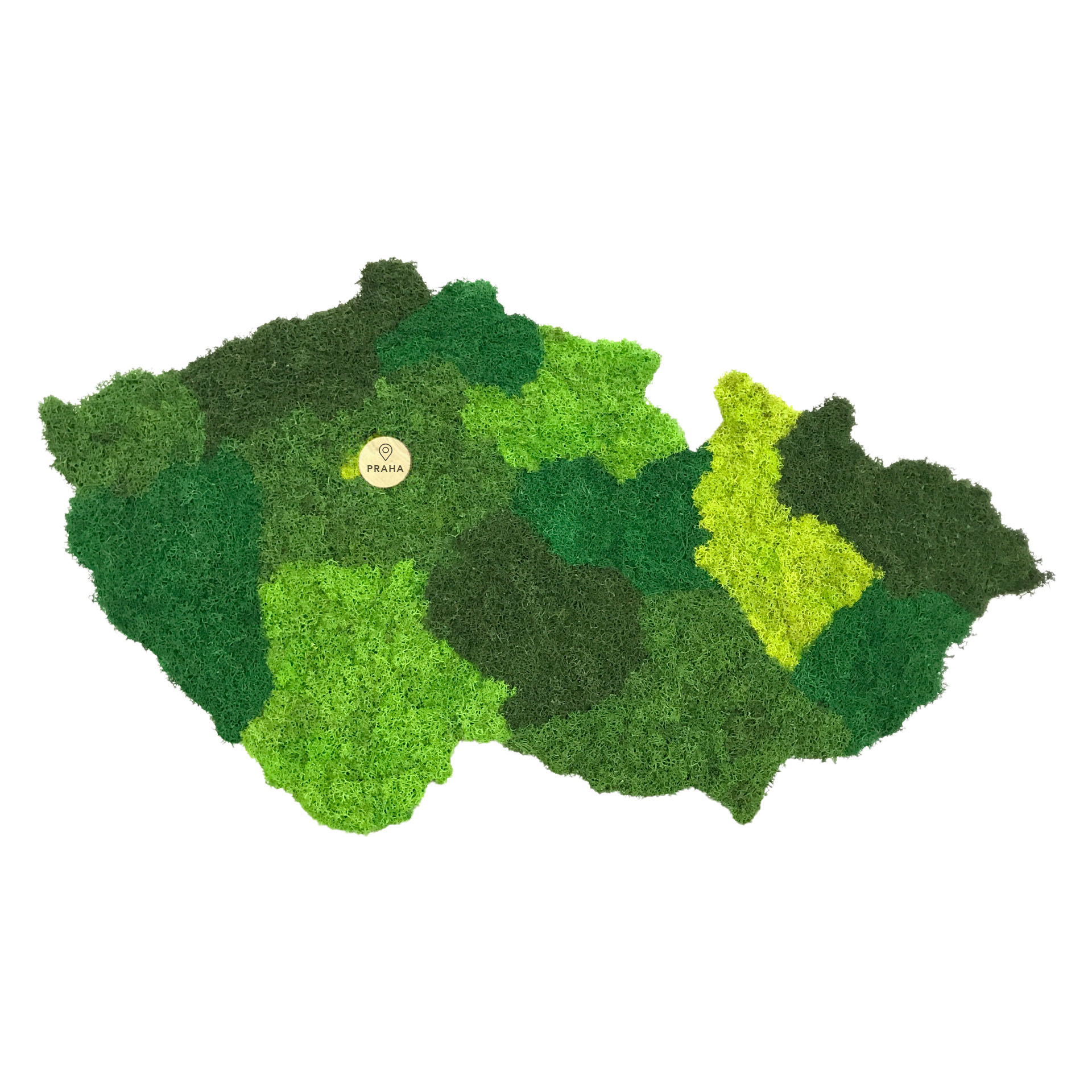 Mechová mapa Špendlíky v mechu - kraje 902|sobí mech|WOODILO.cz