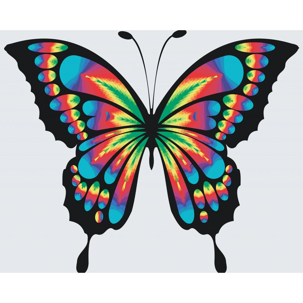 Malowanie po numerach - Motyl w kolorach - Wymalujtosam.pl Malowanie po numerach - Motyl w kolorach - Wymalujtosam.pl