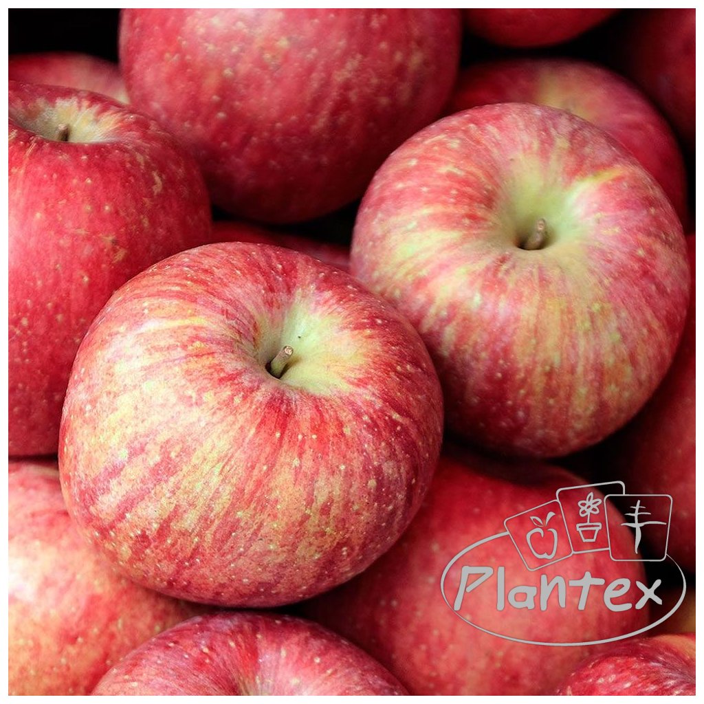 Ovocie, ovocné šťavy a nektáre