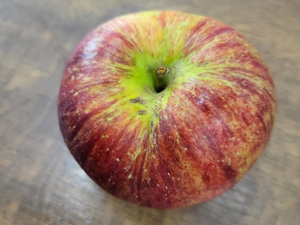 Jabloň ´Krasava´ - Záhradníctvo Spomyšl