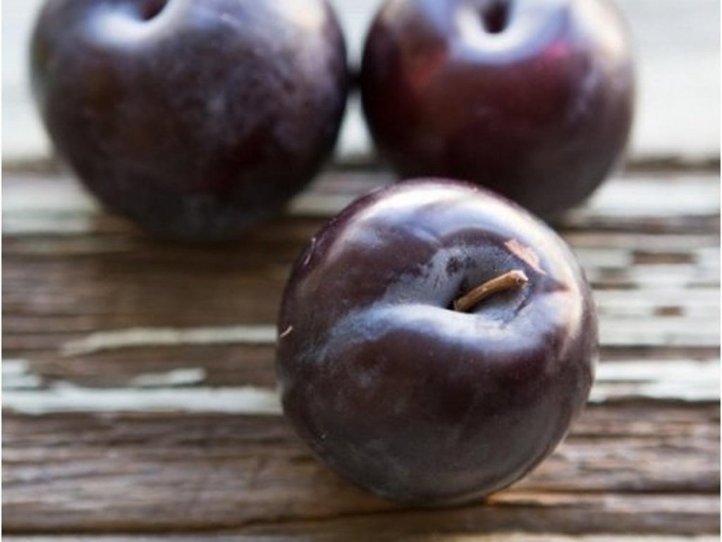 Japonská slivka´John - W´ - Záhradníctvo Spomyšl