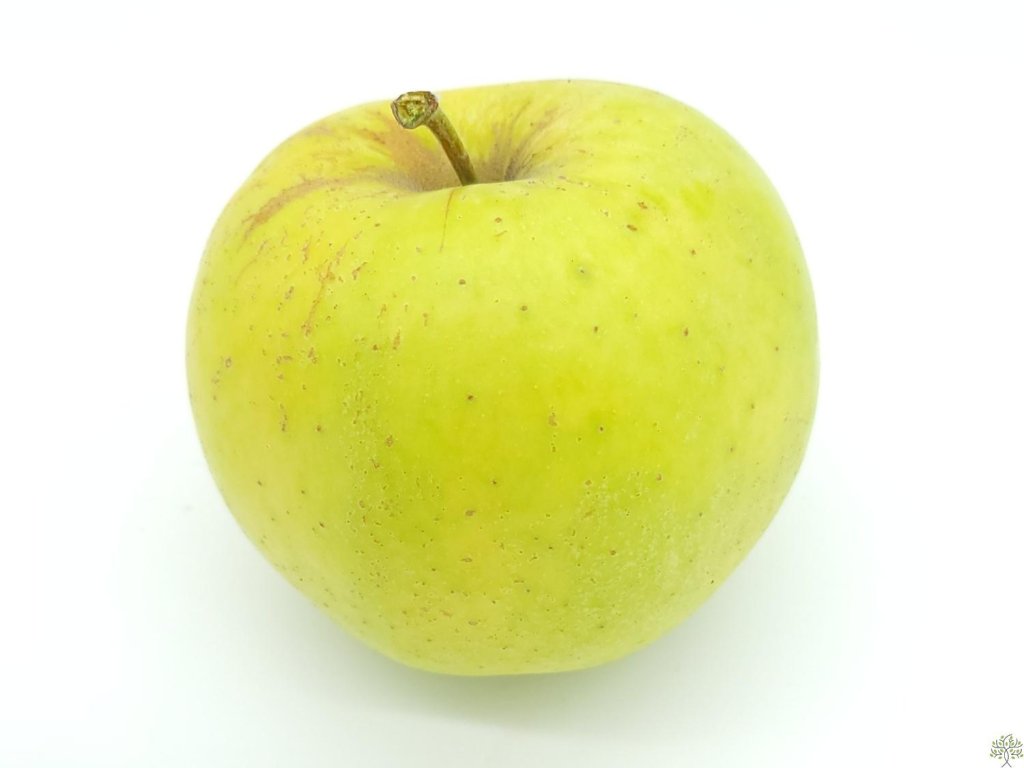 Jabloň ´Sirius´ - Záhradníctvo Spomyšl