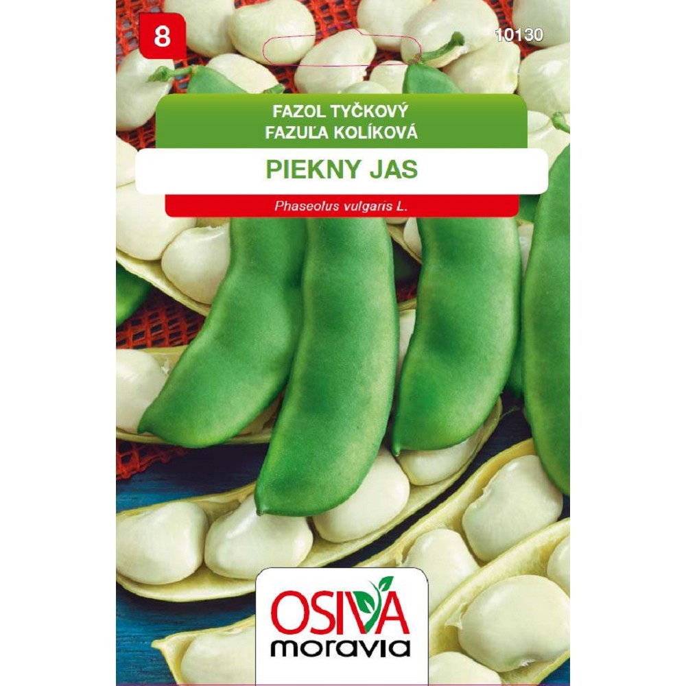 Faol tyč. zel.lusk. PIEKNY JAS_10 s OSIVA MORAVIA - Zahradnidum.cz