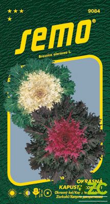 KAPUSTA OKRASNÁ - CORAL F1 mix 20 s EXP. 12/2025 | Zahradní technika ...