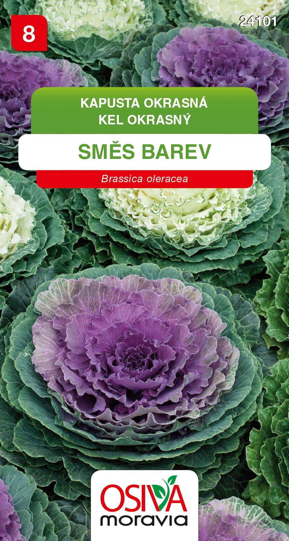 KAPUSTA OKRASNÁ - SMĚS BAREV 0.4 g EXP. 12/2025 | Zahradní technika ...
