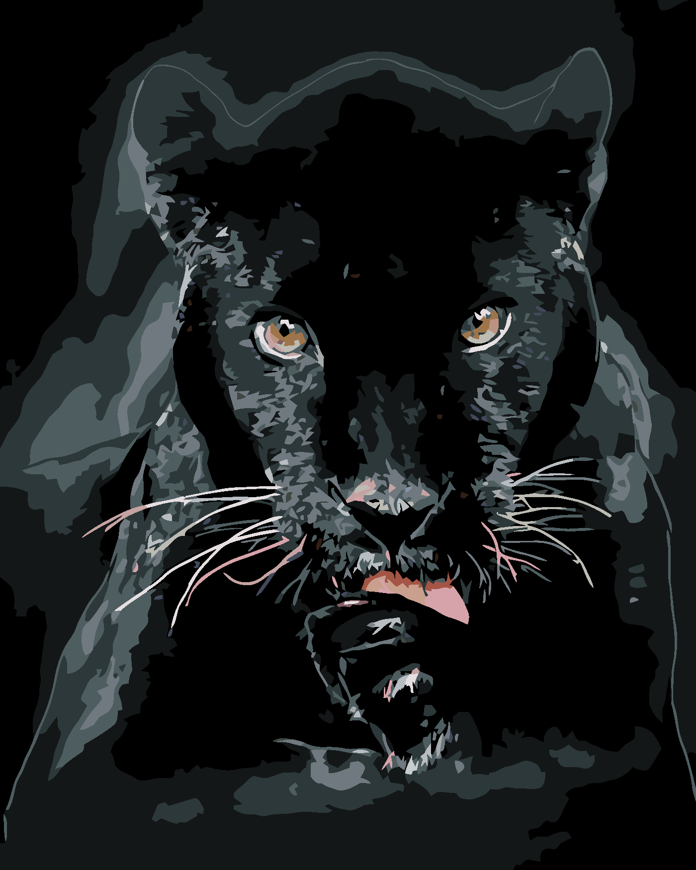 Malování podle čísel - ČERNÁ PUMA - zuty.cz